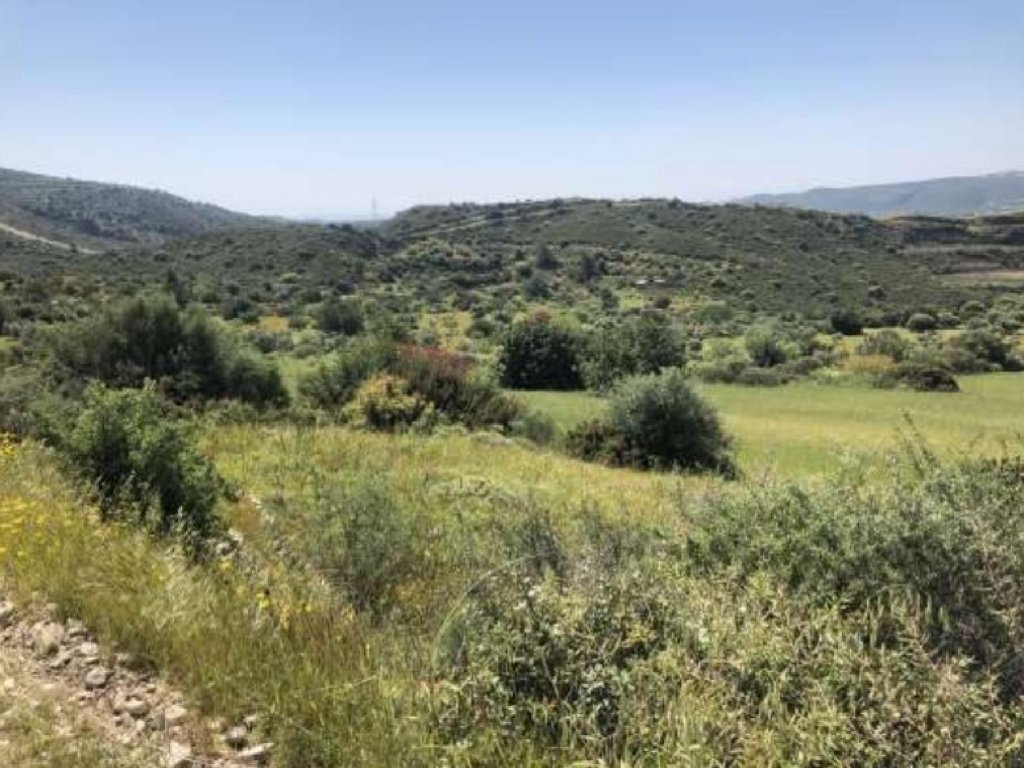 For Sale, Land, Field, Larnaca, Ora, 18,395m²