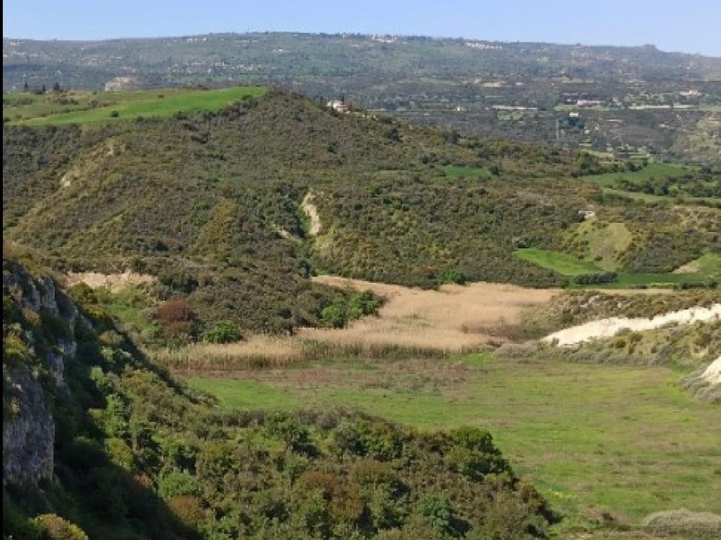 For Sale, Land, Field, Paphos, Steni, 8,027m²